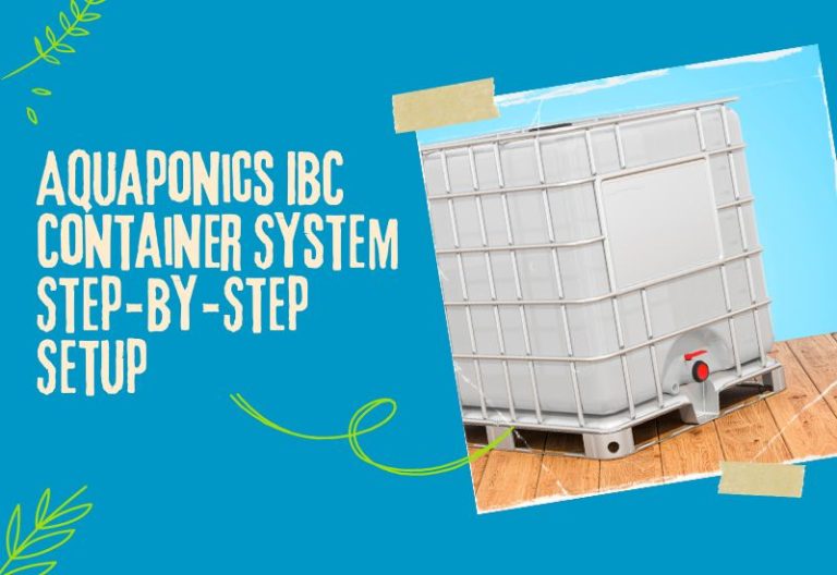 Aquaponics IBC Container System: Step-by-Step Setup - Aquapoinc System
